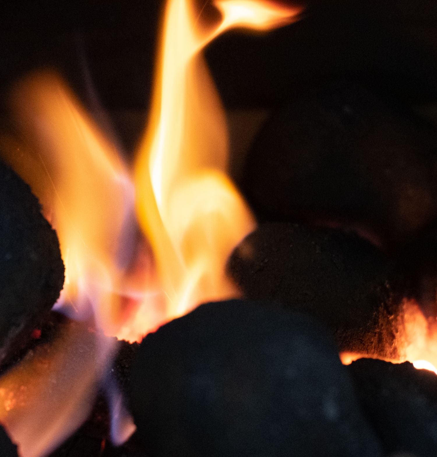 Premium Coal Doubles | HouseFuel