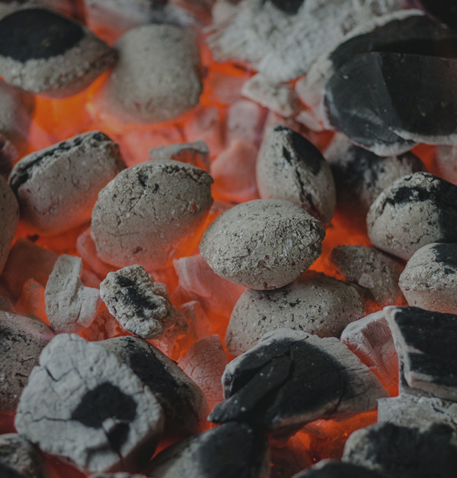 Smokeless Economy Ovoids 25kg | Housefuel